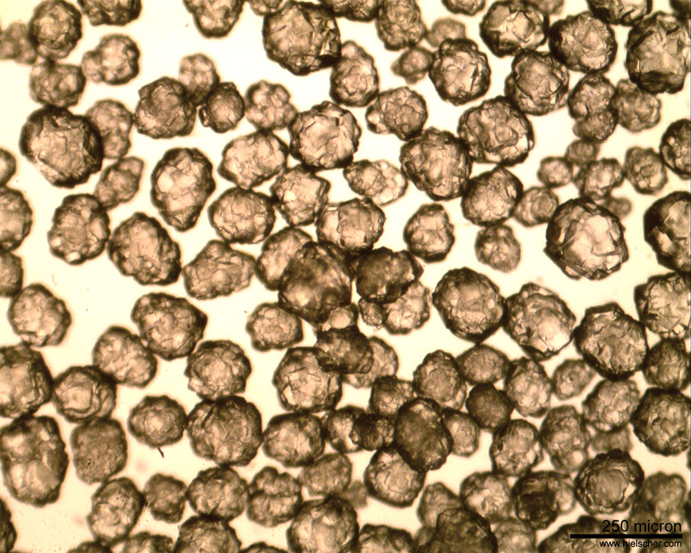 Removing Catalyst Fines From Raney Nickel Catalyst Reactions